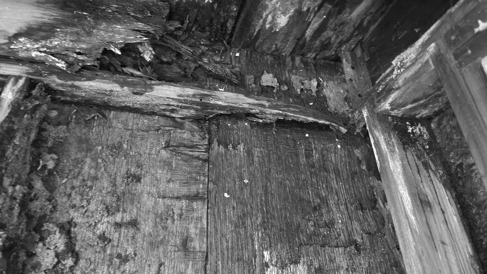 Rot Repair Expert • Seattle Rot Repair Pros | General Contractor